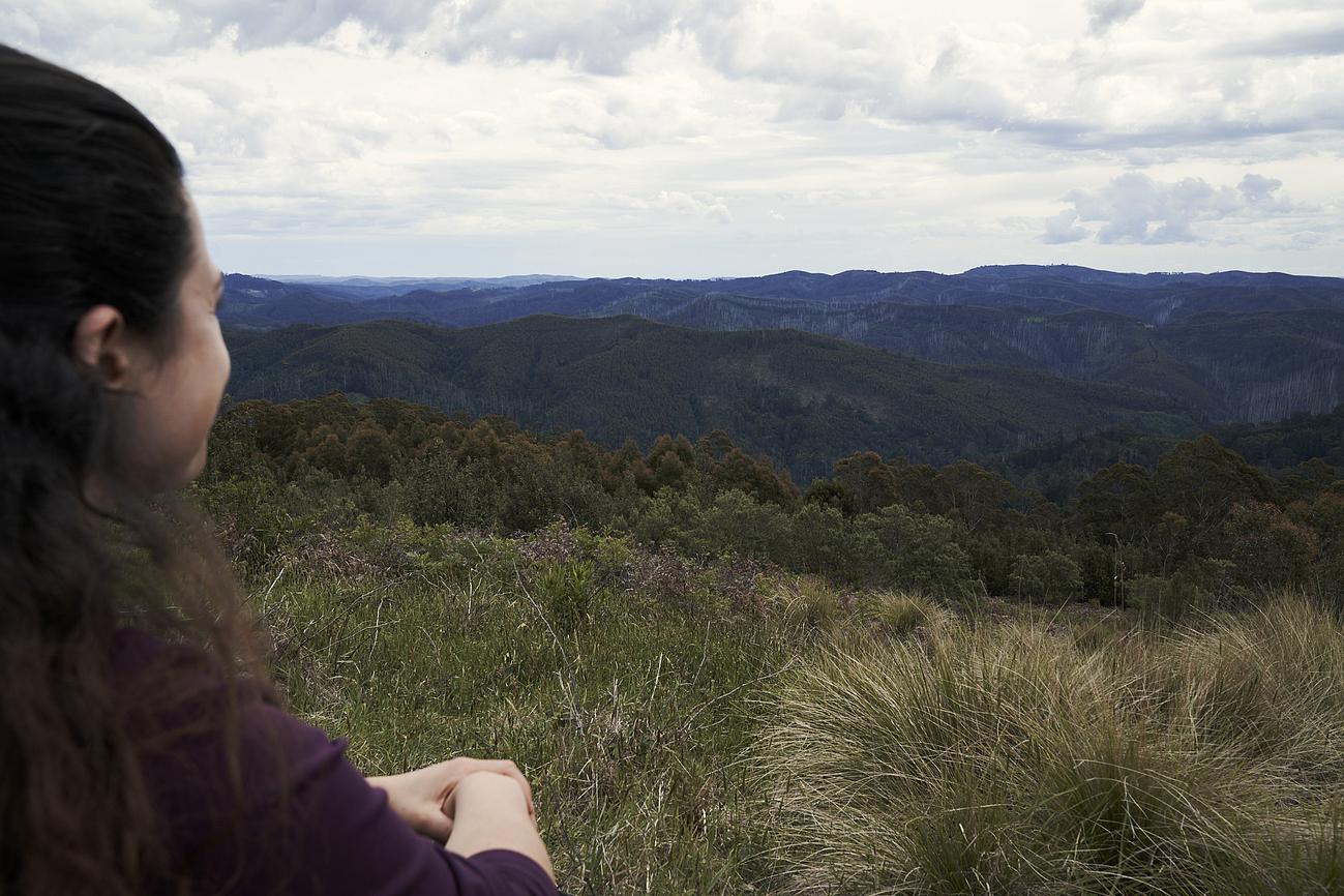 Secret Lookout | Riparide