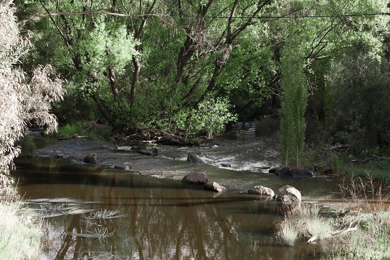 Short Walk to Loddon River | Riparide