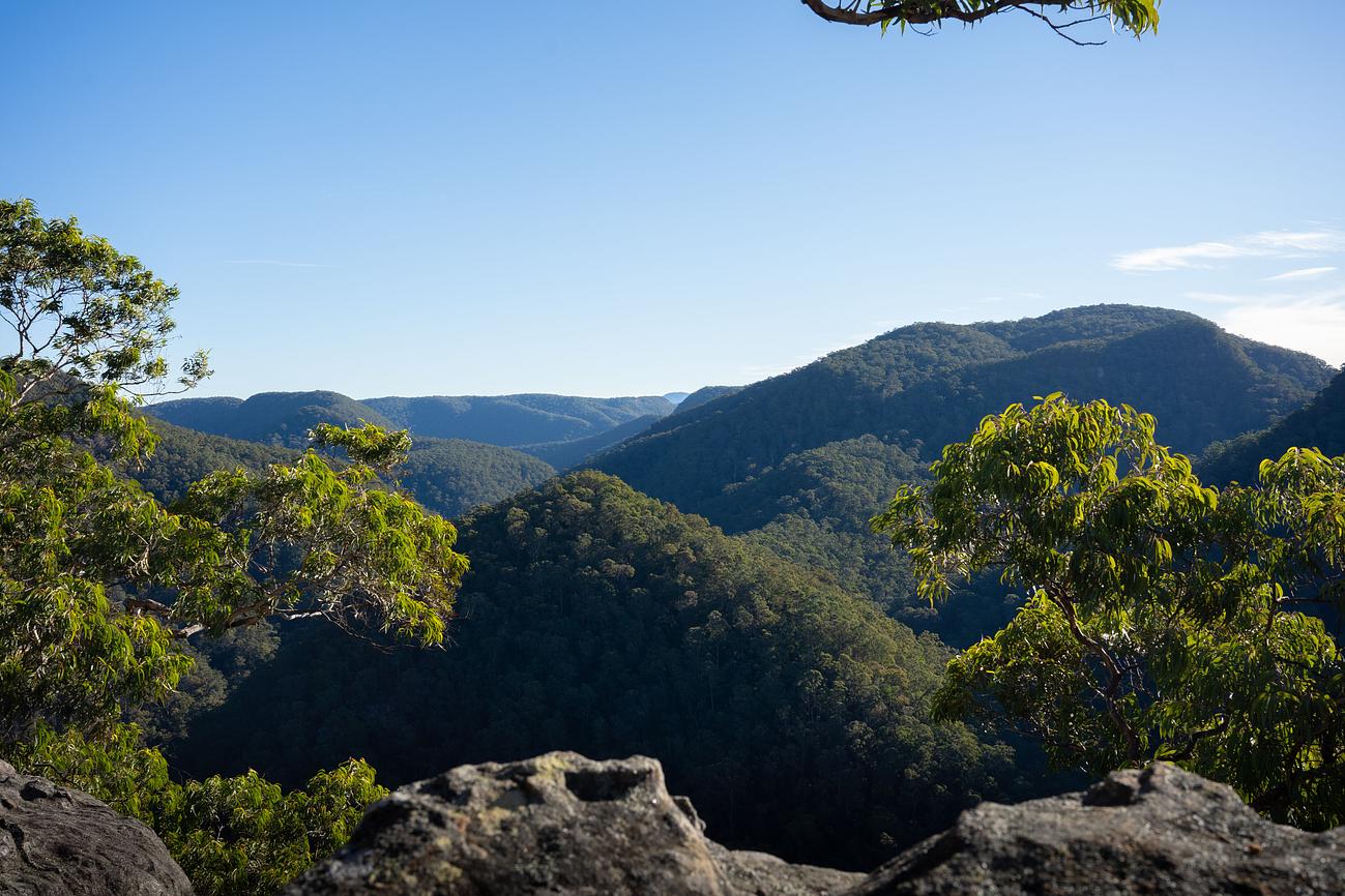 Vale of Avoca Lookout | Riparide