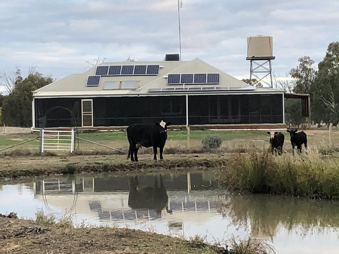 Relaxing Off-Grid Farm Stay - Farm for Rent in Burraboi, Outback NSW ...