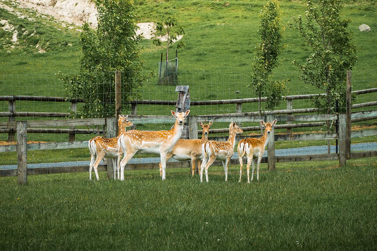 Converted Woolshed - Comfort and Character - Barn for Rent in Lake ...