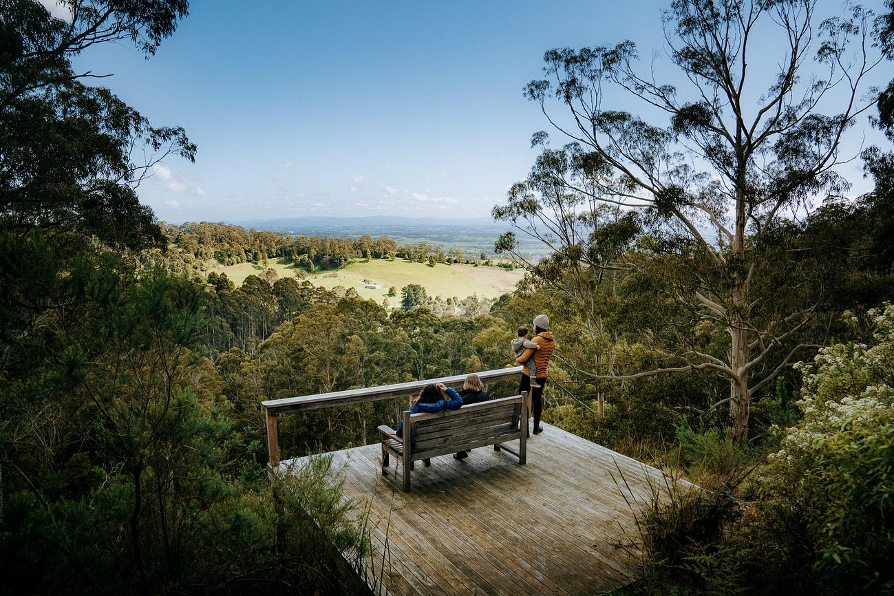 Loggers Lookout | Riparide