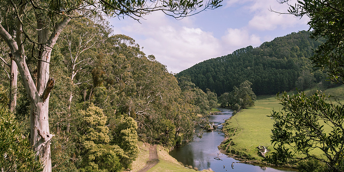 Aire River Escape - Cabin for Rent in Hordern Vale, Great Ocean Road, VIC, AU | Riparide