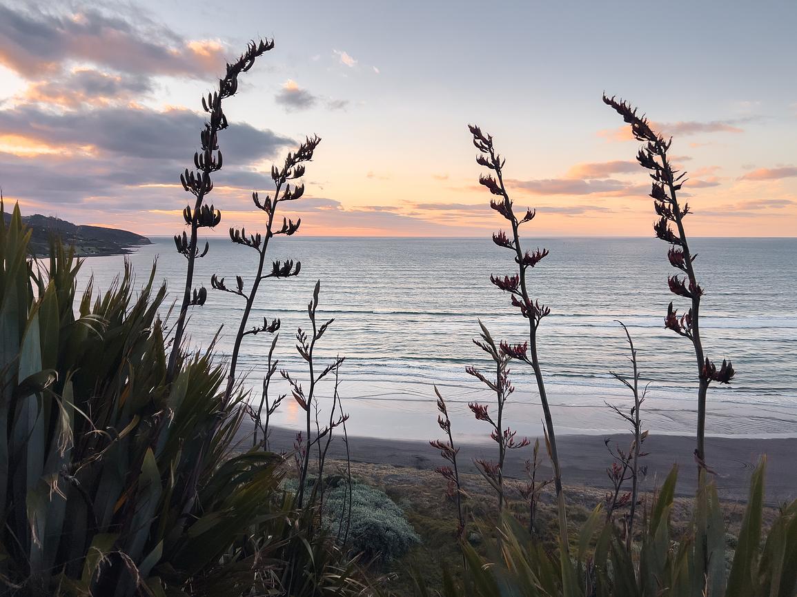Sunset at Ngarunui Beach | Riparide