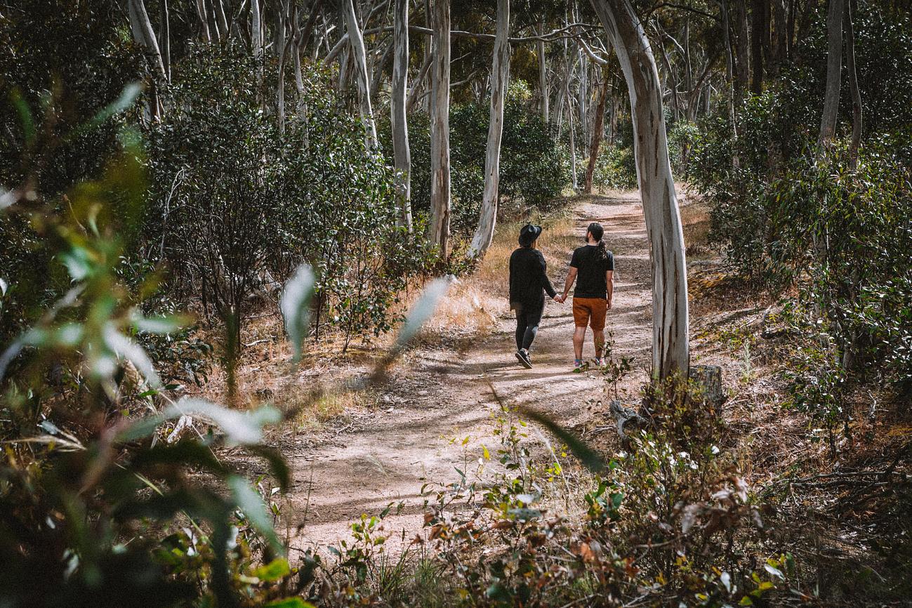 Exploring Steiglitz | Riparide