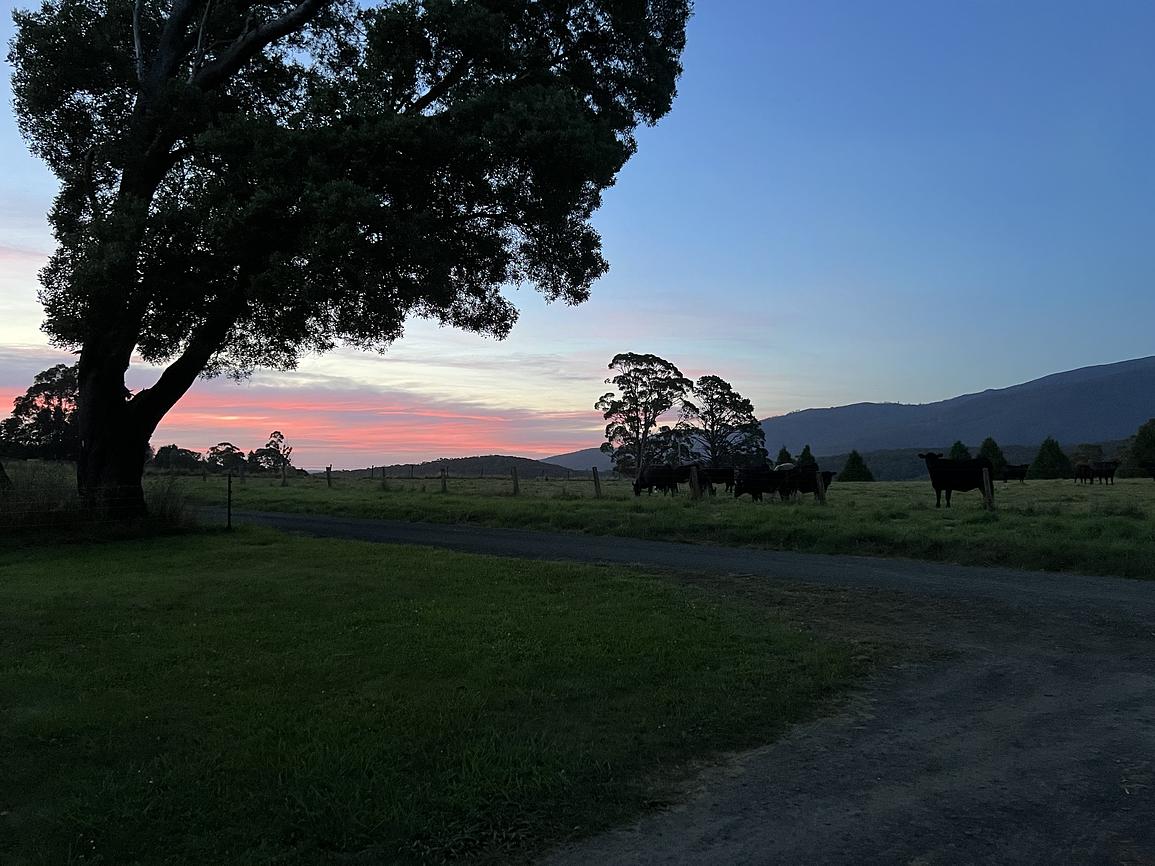 Erica Country Retreat - House for Rent in Erica, Gippsland, VIC, AU ...