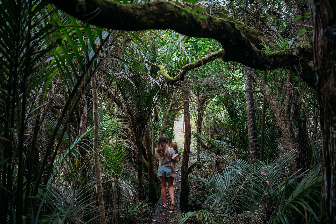 Bush Walk | Riparide