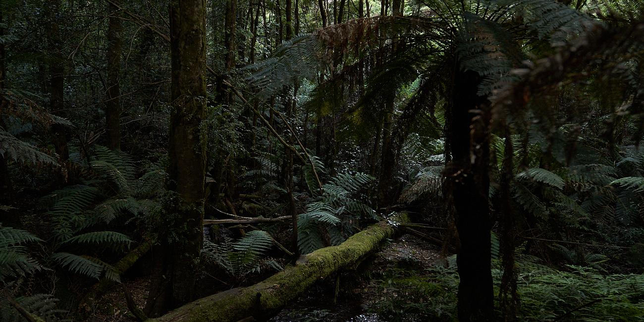 Magical Nissen Hut - Villa for Rent in Dixons Creek, Yarra Valley, VIC, AU | Riparide