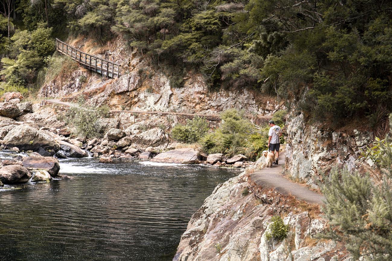 Exploring Karangahake Gorge | Riparide