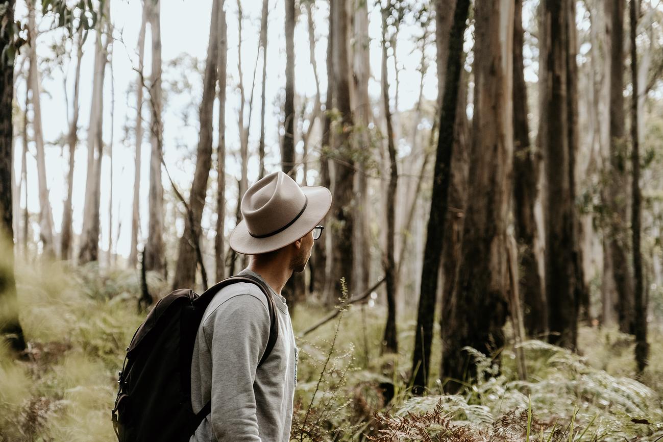Hiking Mount Cole State Forest | Riparide