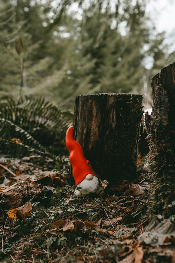 Gnome Land At The Wrigley Tiny Home | Riparide