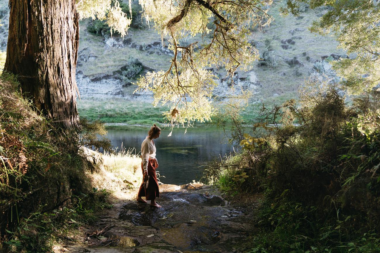 Walk to a Local Forest | Riparide