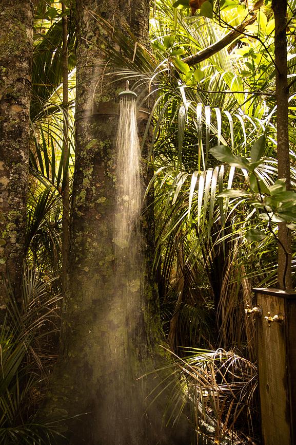 Private Bush Retreat - Cabin for Rent in Matakana, Auckland, NZ | Riparide