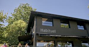 Forest Bathing - Adventure by Cora & Charlie in Mount Toolebewong, Yarra valley, Yarra Valley ...