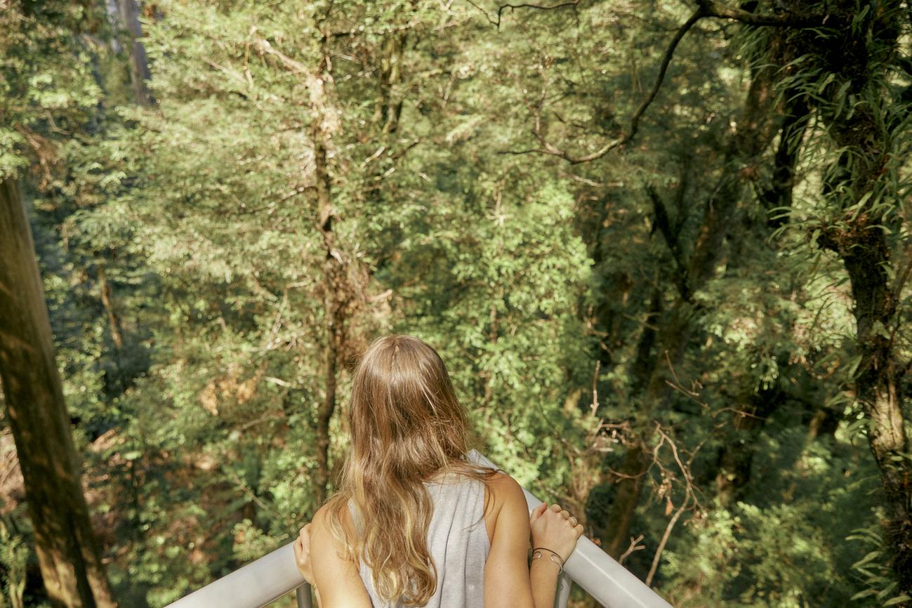 Forest Bathing - Adventure by Cora & Charlie in Mount Toolebewong, Yarra valley, Yarra Valley ...