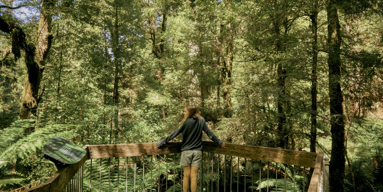 Forest Bathing - Adventure by Cora & Charlie in Mount Toolebewong, Yarra valley, Yarra Valley ...