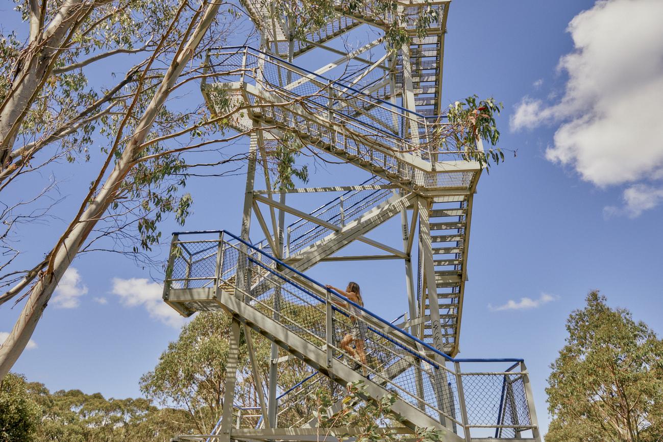 Forest Bathing - Adventure by Cora & Charlie in Mount Toolebewong, Yarra valley, Yarra Valley ...