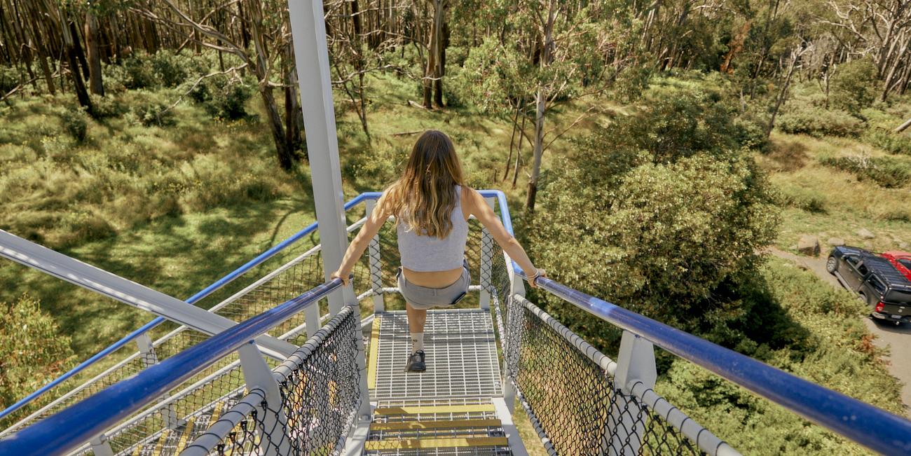 Forest Bathing - Adventure by Cora & Charlie in Mount Toolebewong, Yarra valley, Yarra Valley ...