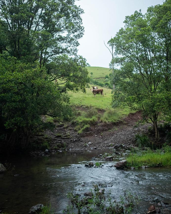 Walking Around the Spring Water River | Riparide