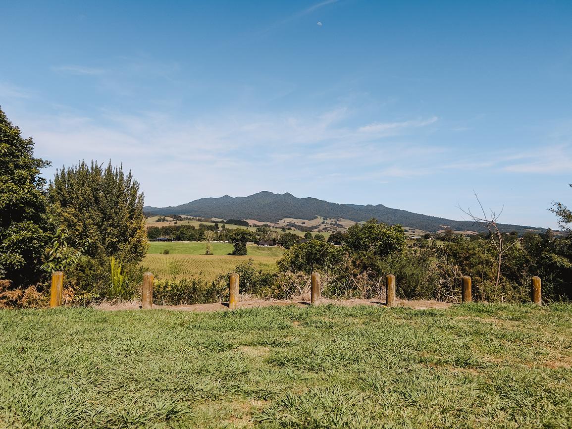 Explore Pirongia Forest Park | Riparide