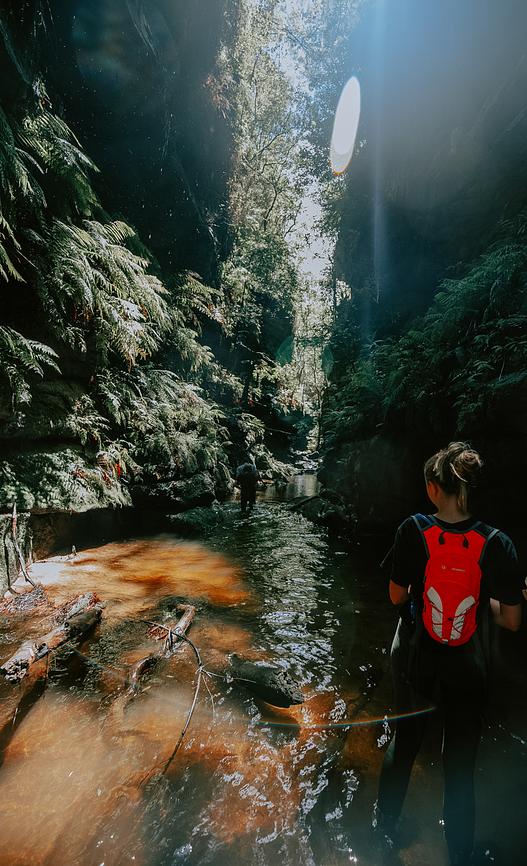 Hideaway Haven - Adventure by Nathalie in Wentworth Falls, Blue Mountains, NSW, AU | Riparide