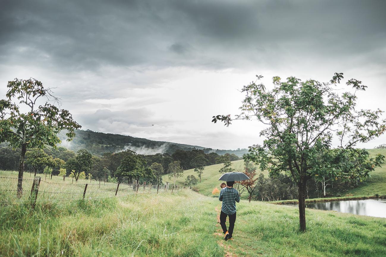 Wandering Around the Property | Riparide