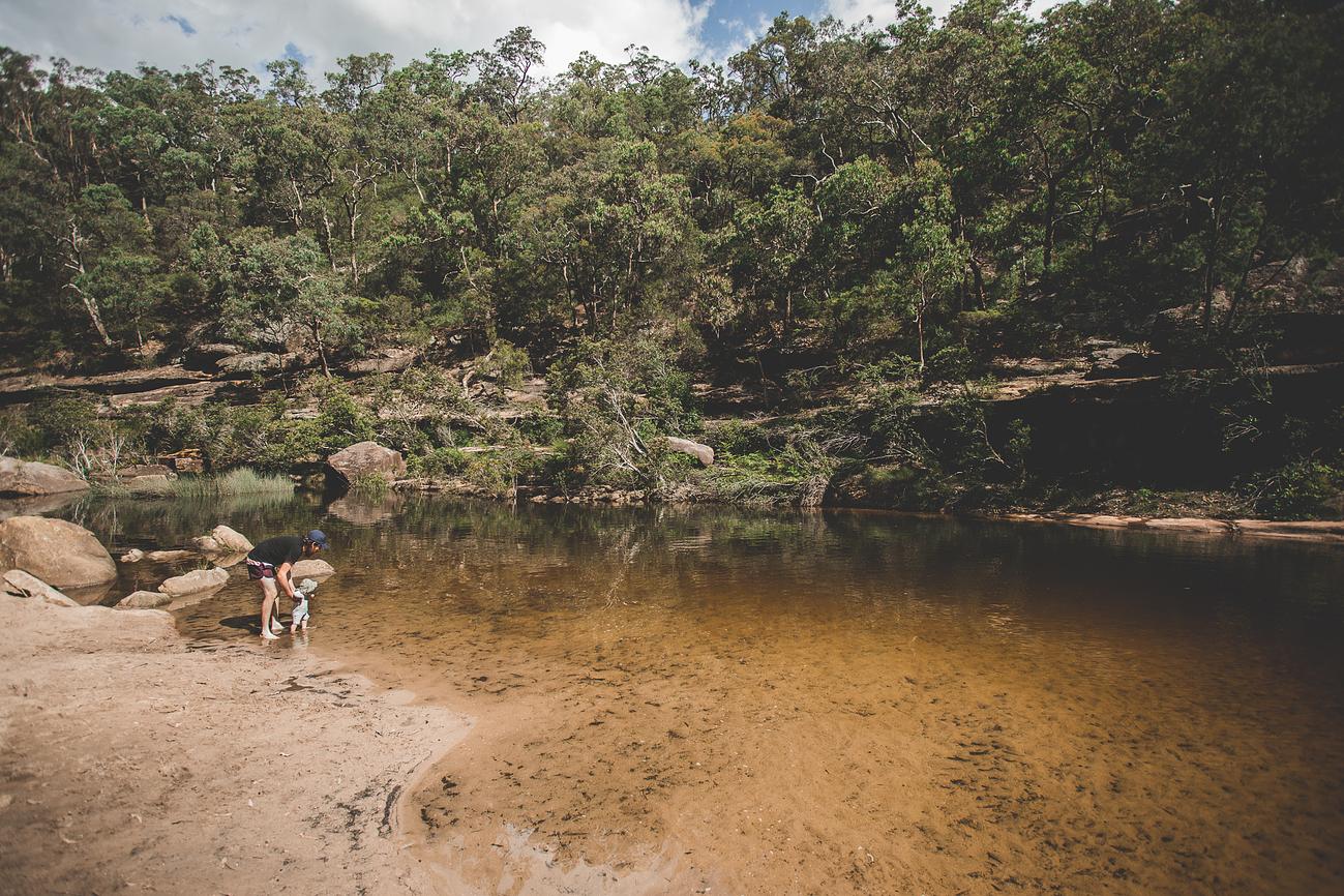 Jellybean Pool | Riparide