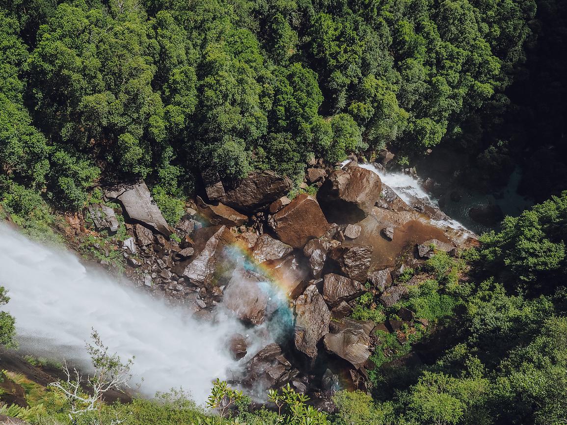 Walking Around Fitzroy Falls | Riparide