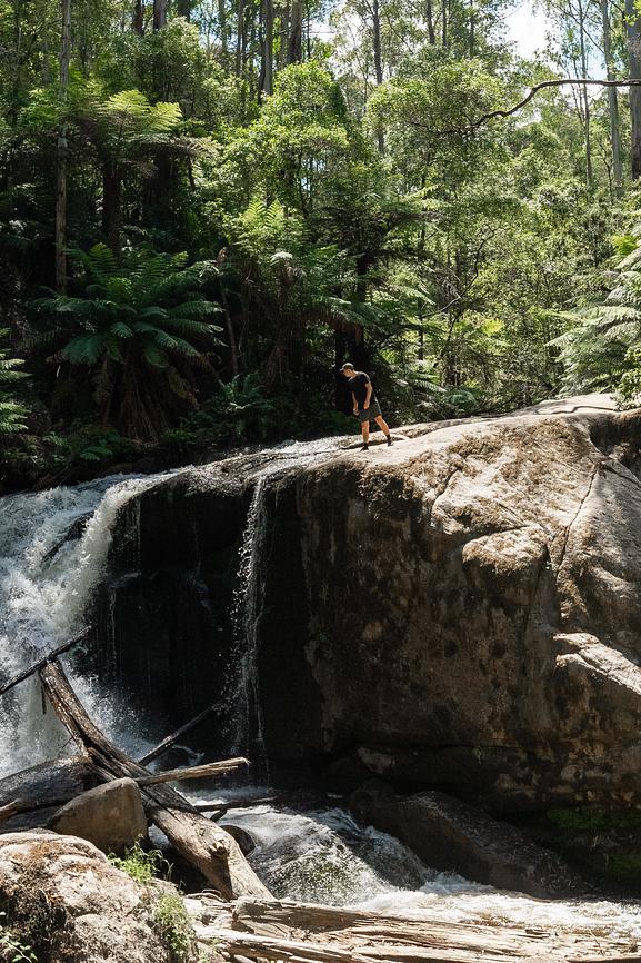 Toorongo Falls | Riparide