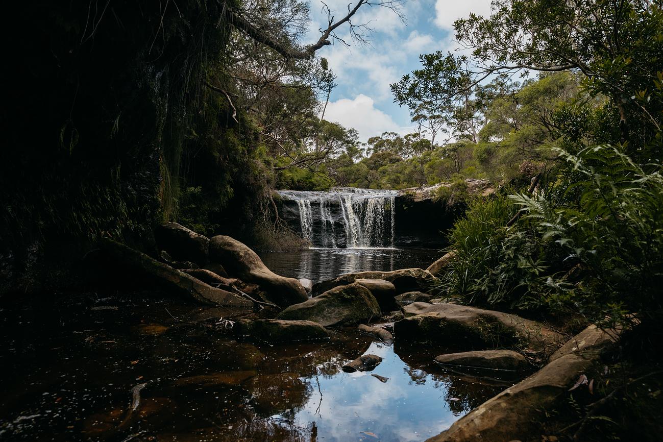 Nellie's Glen | Riparide