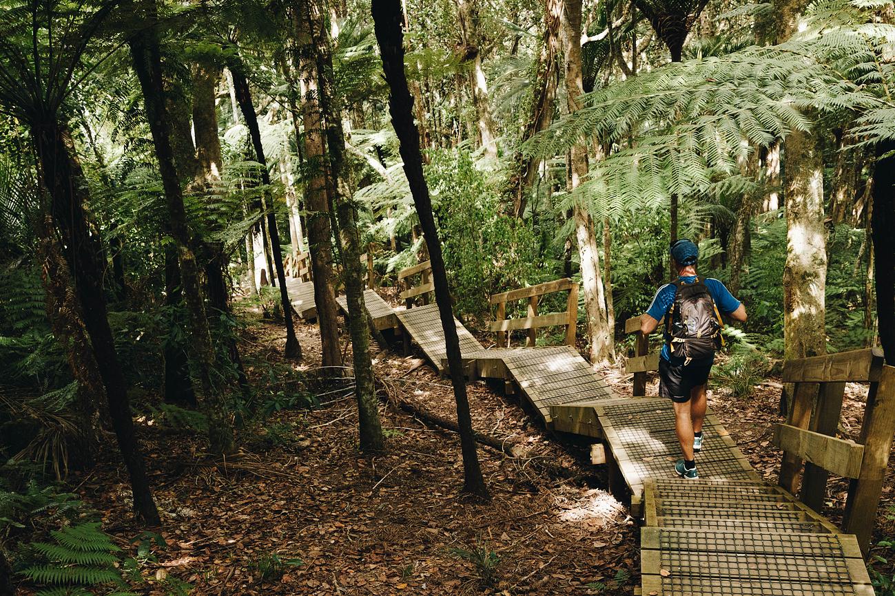 Stairway to Heaven Walk | Riparide