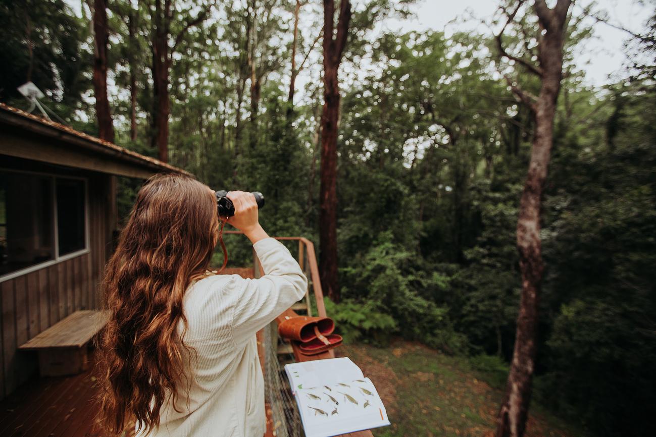 Early Morning Bird Watching | Riparide