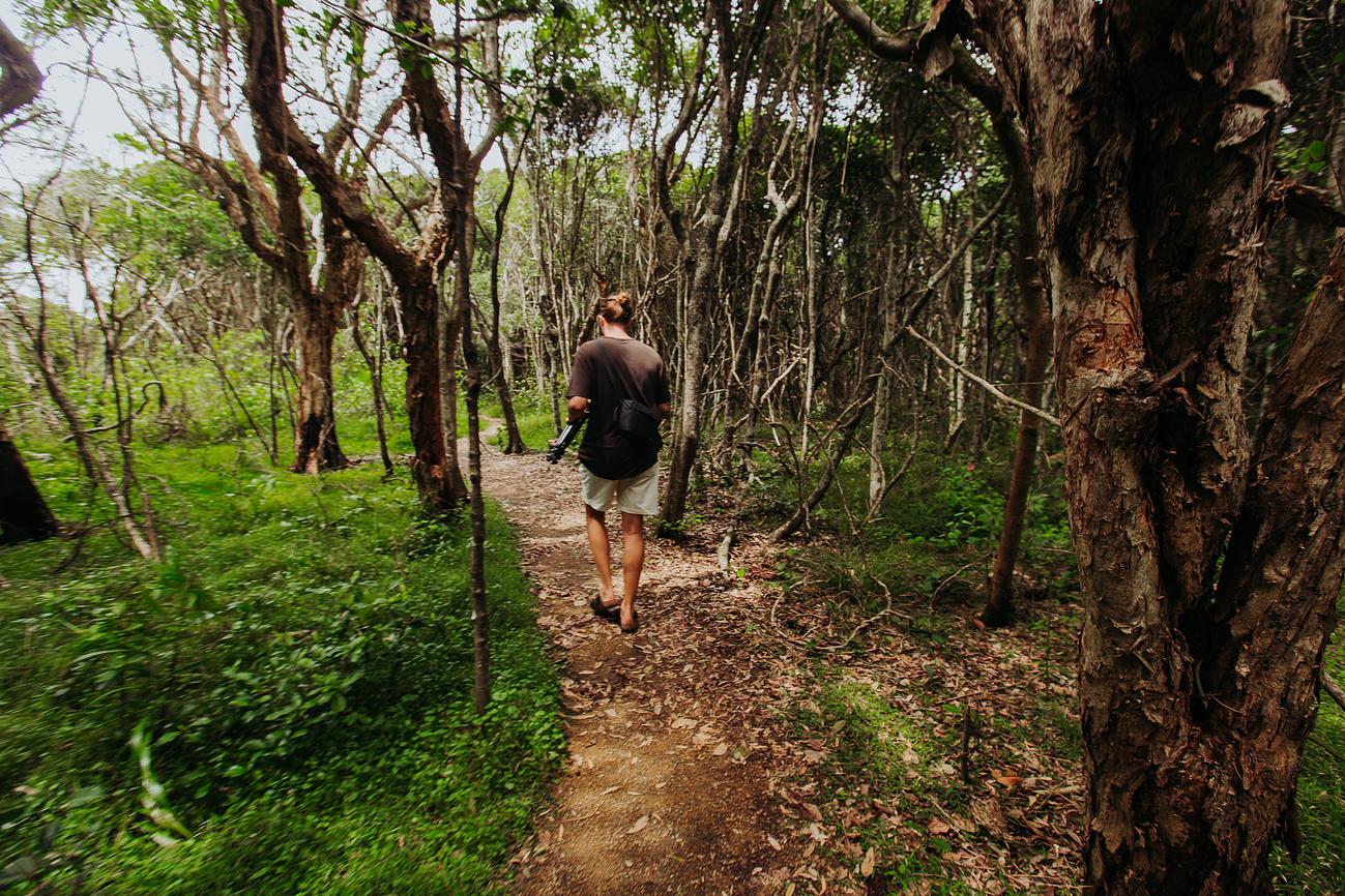 Headland Walk in Saltwater National Park | Riparide
