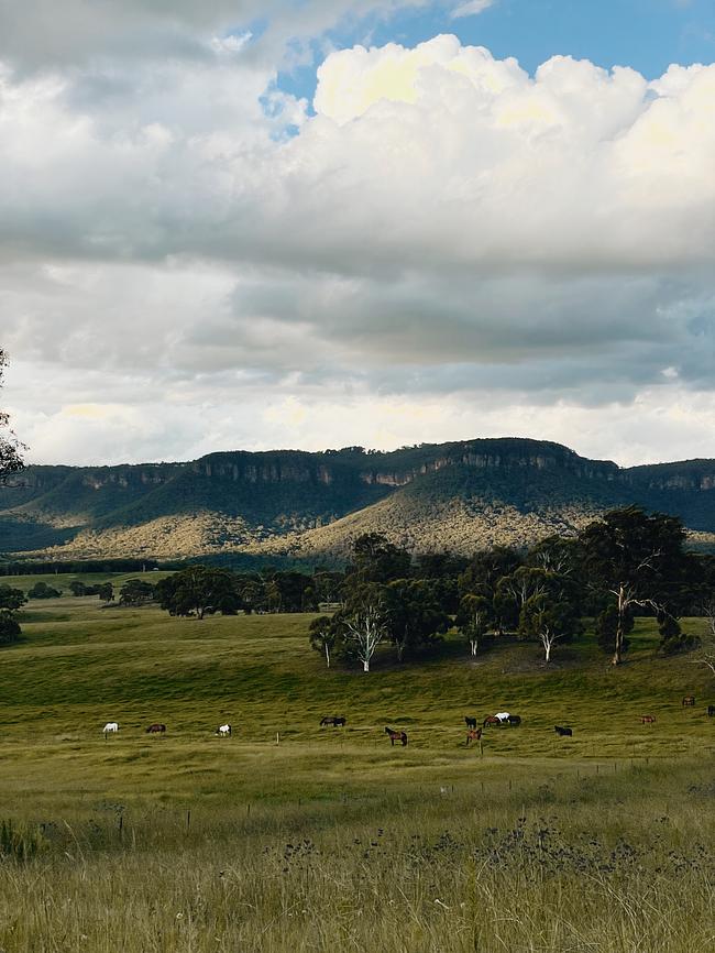 Head in the Clouds - Adventure by Alexandra in Kanimbla, Blue Mountains ...