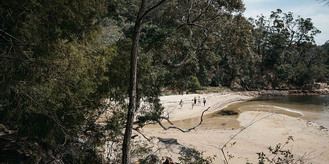The Retreat at Coasters - A house on some rocks in the trees. With a ...