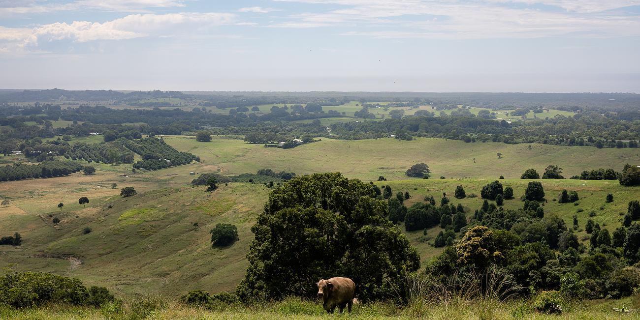 Hilltop Cabin in the Hinterlands - Adventure by Danielle in Yelgun ...