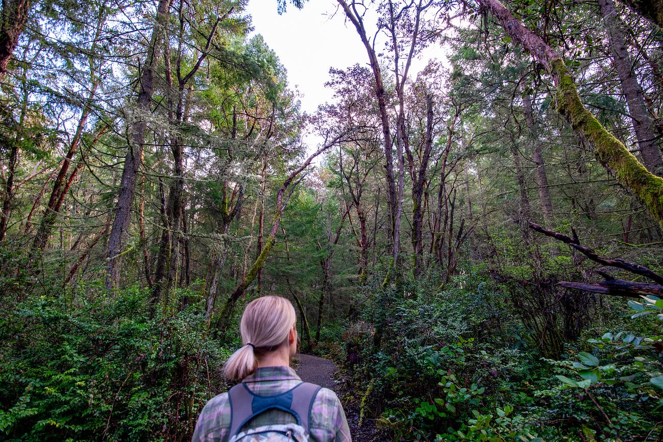Exploring the Trails at Maury Island Natural Area | Riparide