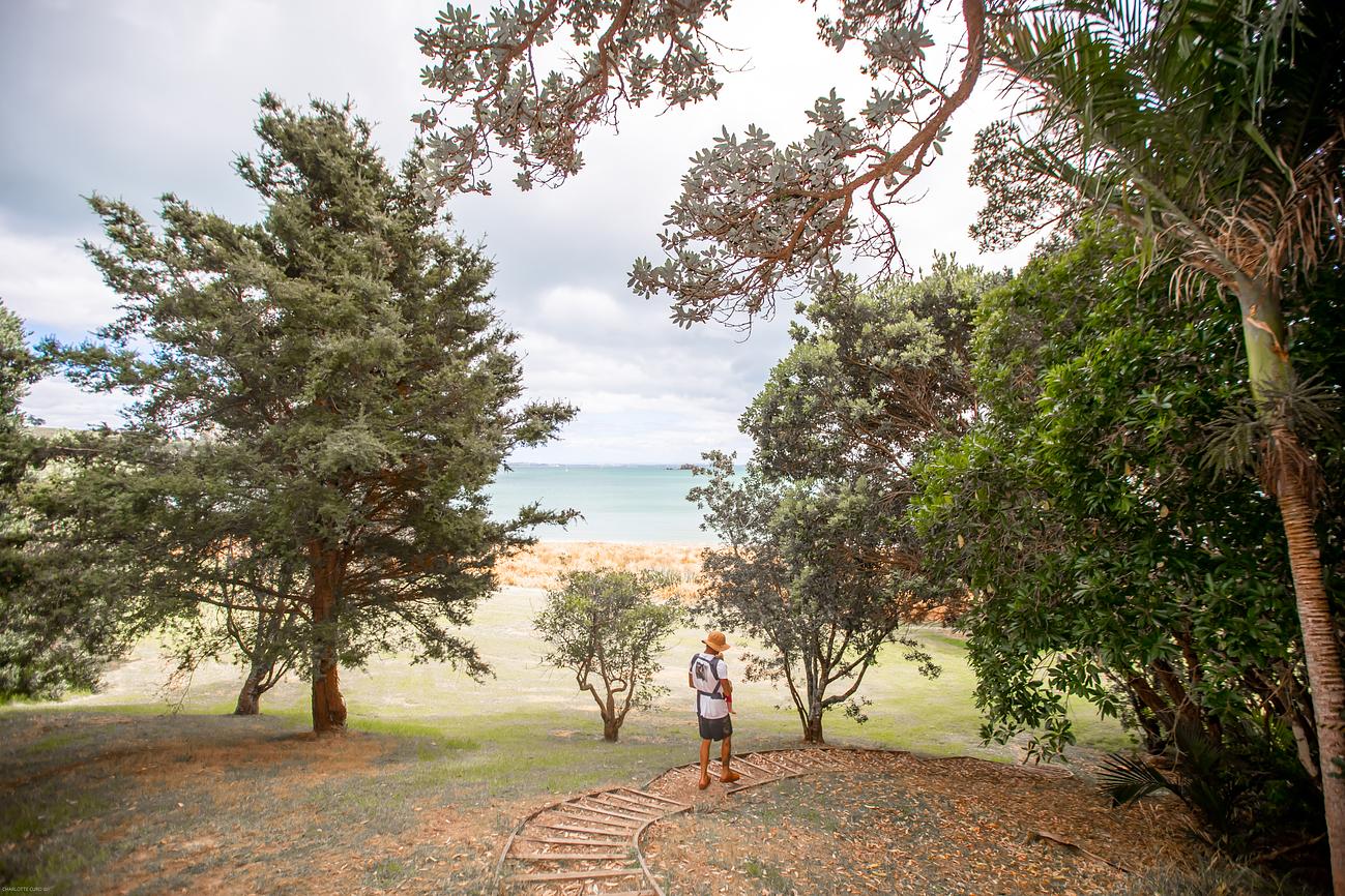 Explore the Regional Parks | Riparide