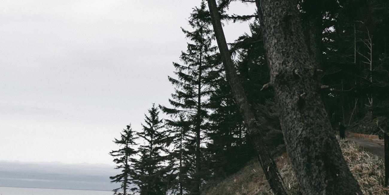 Rainshadow Retreat - Adventure by Andrea in Sequim, Peninsulas, WA, US ...