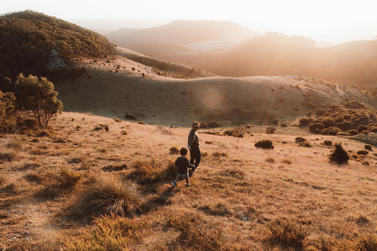 Sunset at Mt Nicoll | Riparide