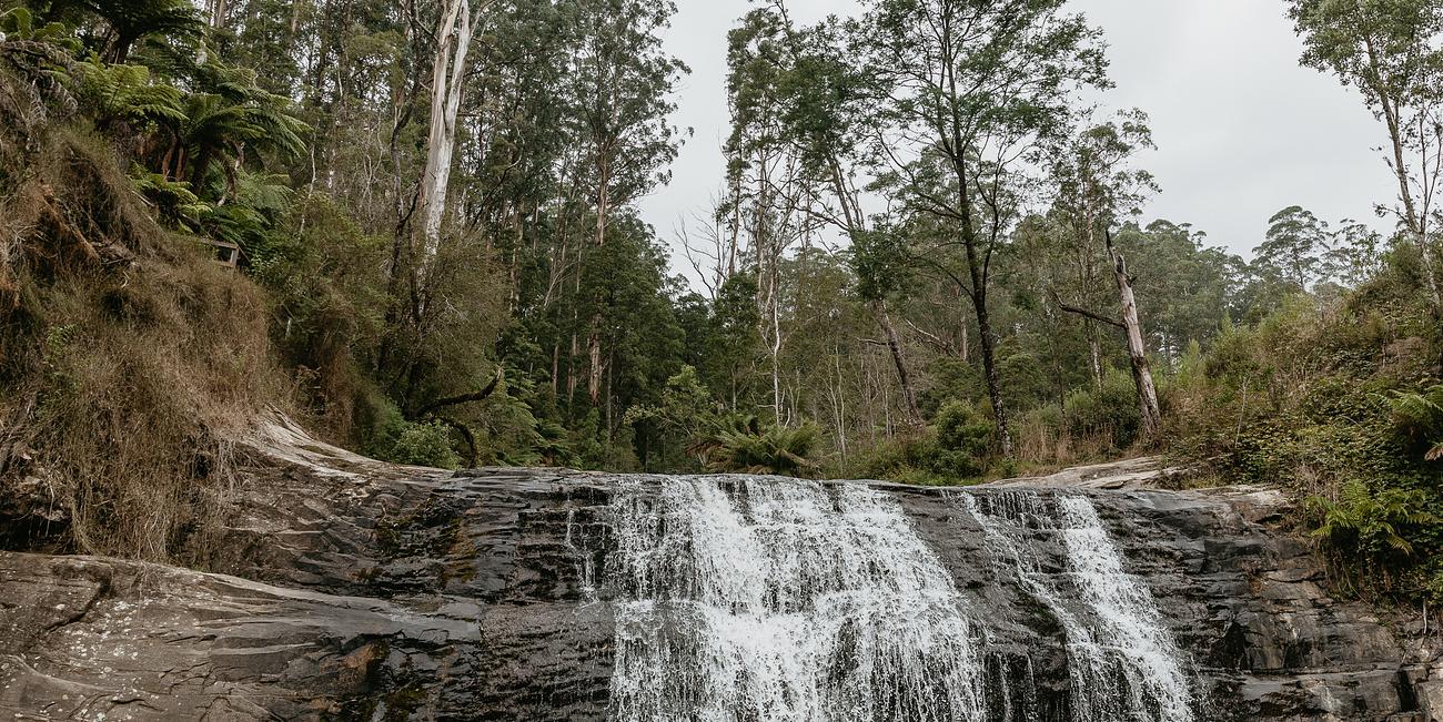 Getting Back to Basics - Adventure by Brook in Yinnar South, Gippsland ...
