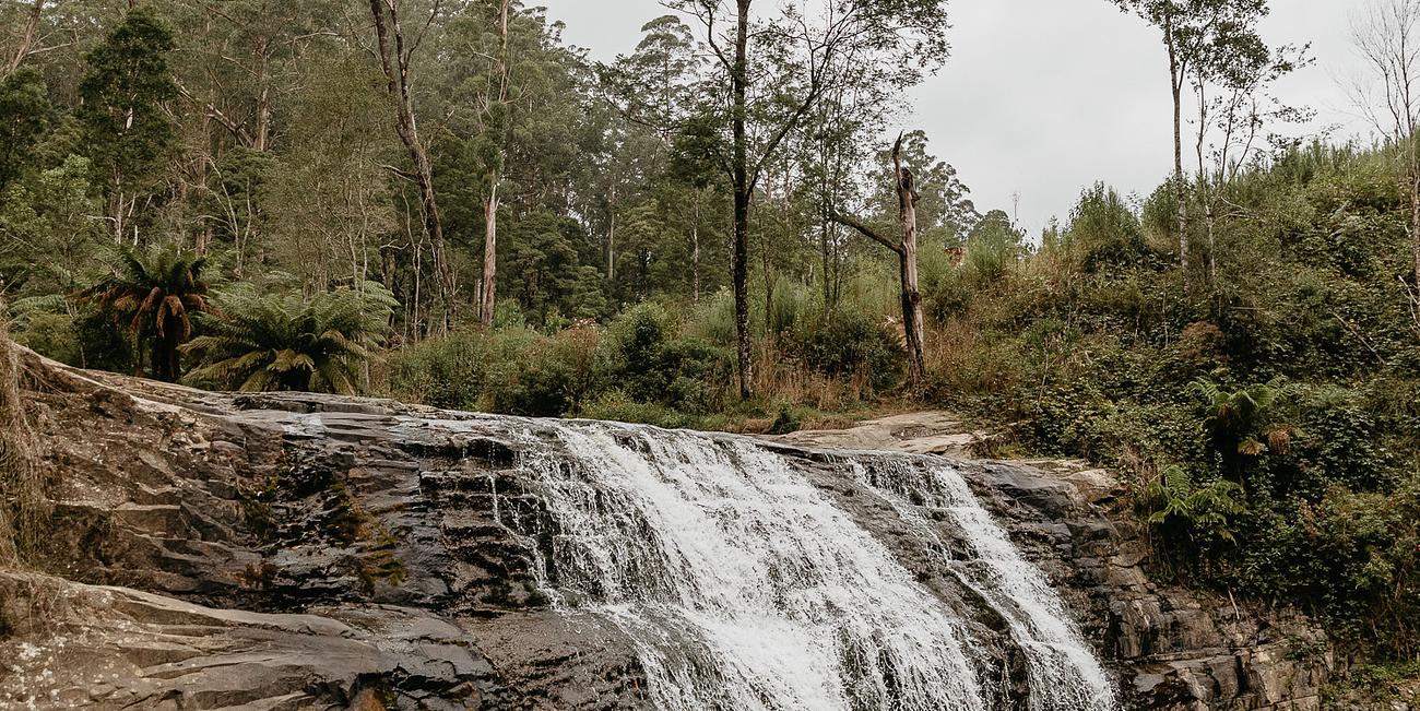 Getting Back to Basics - Adventure by Brook in Yinnar South, Gippsland ...