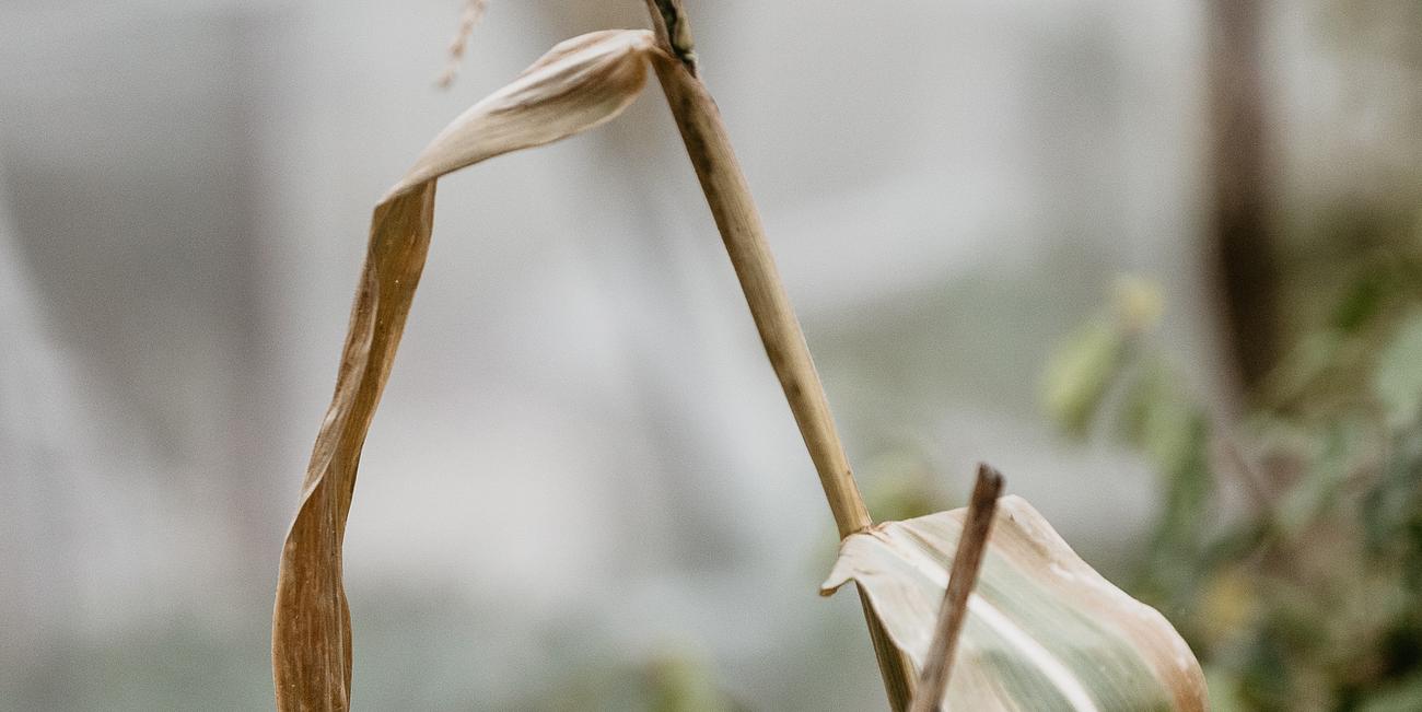 Getting Back to Basics - Adventure by Brook in Yinnar South, Gippsland ...
