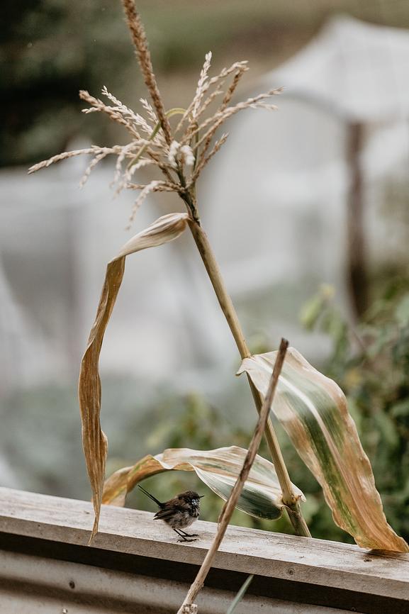 Getting Back to Basics - Adventure by Brook in Yinnar South, Gippsland ...