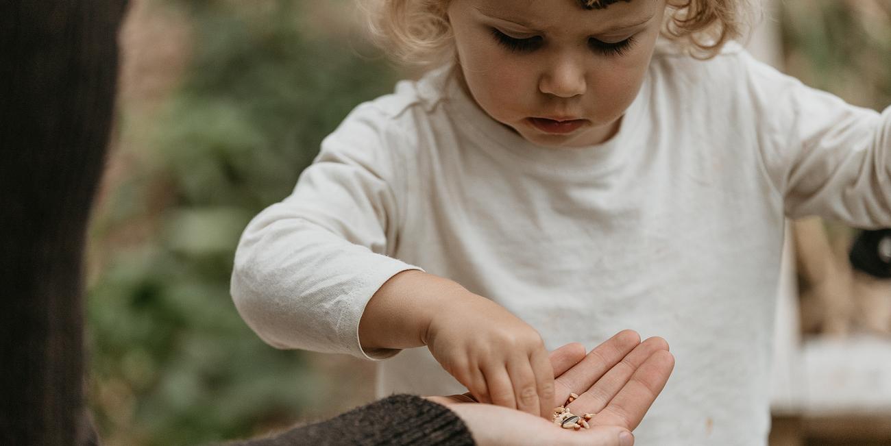 Getting Back to Basics - Adventure by Brook in Yinnar South, Gippsland ...