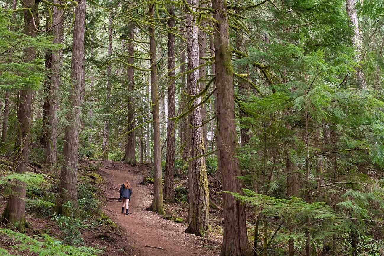 Dickerson Falls and Scenic Beach State Park | Riparide