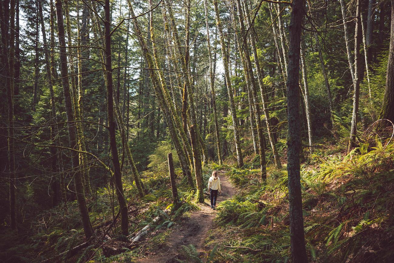 Hideaway Amongst the Trees in Bellingham - Adventure by Jeffrey in ...