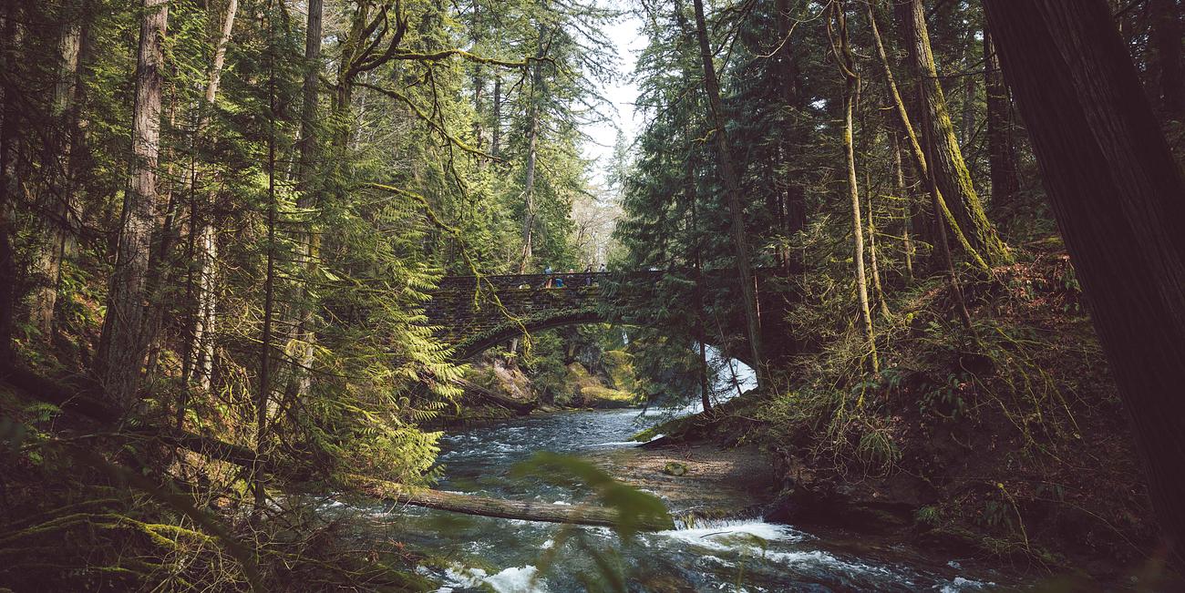 Hideaway Amongst the Trees in Bellingham - Adventure by Jeffrey in ...