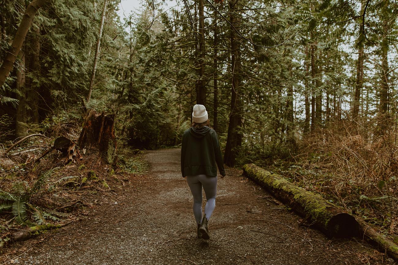 North Lake Whatcom Trail | Riparide