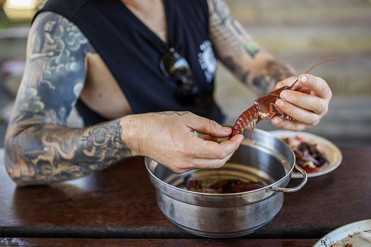 Fawlty Farm - Includes 3 Free Adventures - Lodge for Rent in Taylor Bay ...